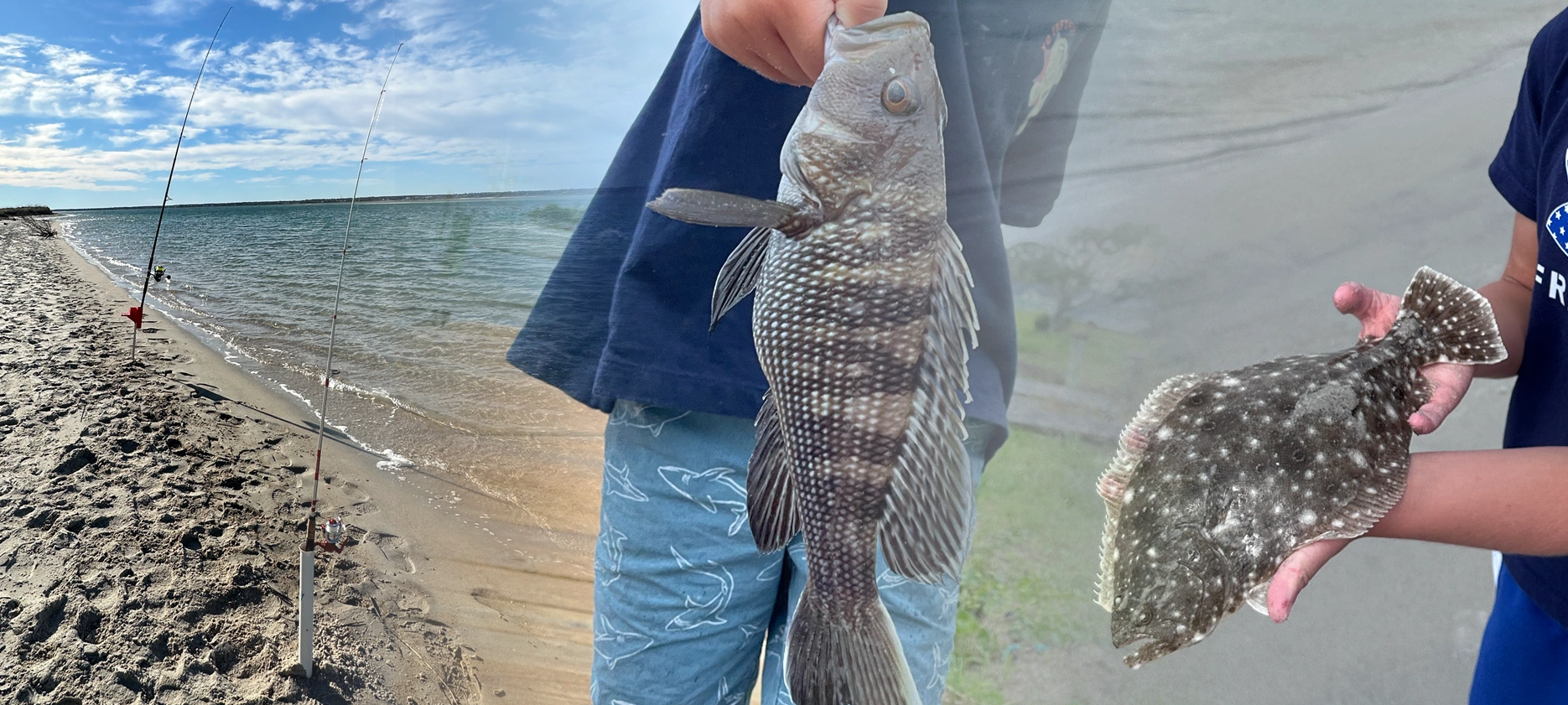 Topsail Fishing Forecast: What’s Biting in Late Spring